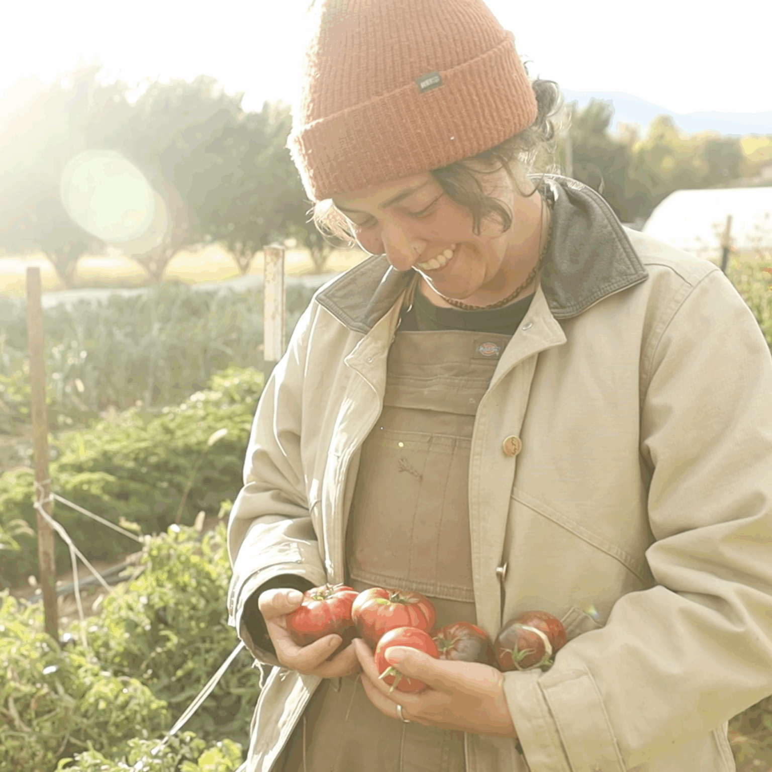 Building Power For A More Beautiful Future | Groundwork